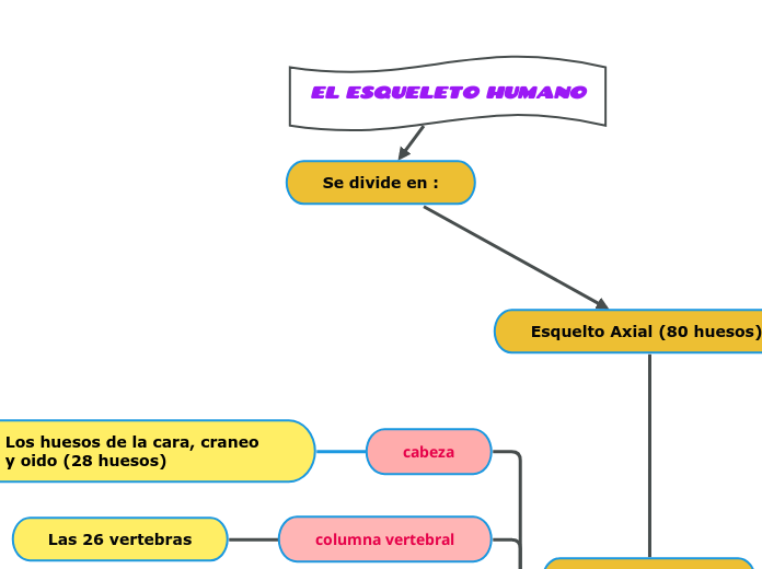 EL ESQUELETO HUMANO - Mind Map
